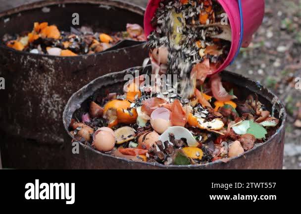 Home compost barrel. Waste sorting. Materials in a compost pile Stock ...