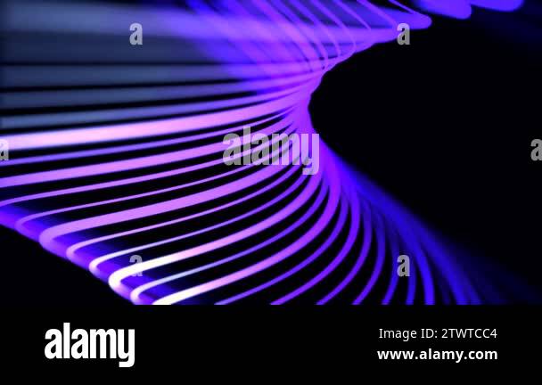 Abstract curved neon lines of lilac color rotating on black background ...