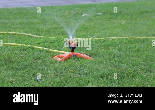 Rotating water sprinkler garden Stock Videos & Footage - HD and 4K ...