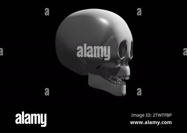 3D 4k rotating human skull - isolated on black background Stock Video ...
