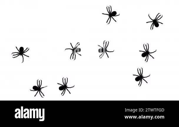 Do not disturb the spiders sign Stock Videos & Footage - HD and 4K ...