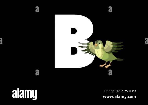 Animated zoological English alphabet. Alpha matte motion graphic ...