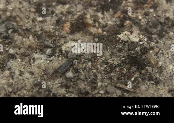 Path texture Stock Videos & Footage - HD and 4K Video Clips - Alamy