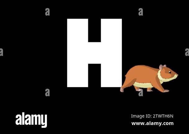 Animated zoological English alphabet. Alpha matte motion graphic ...