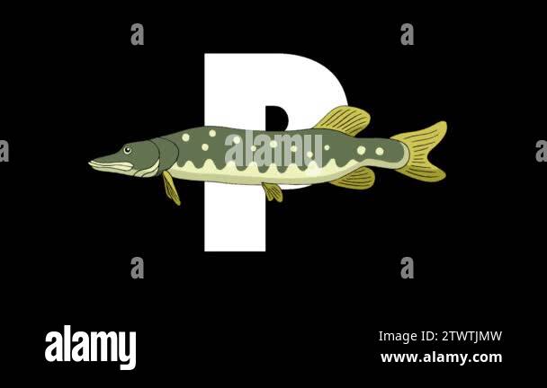 Animated zoological English alphabet. Alpha matte motion graphic ...