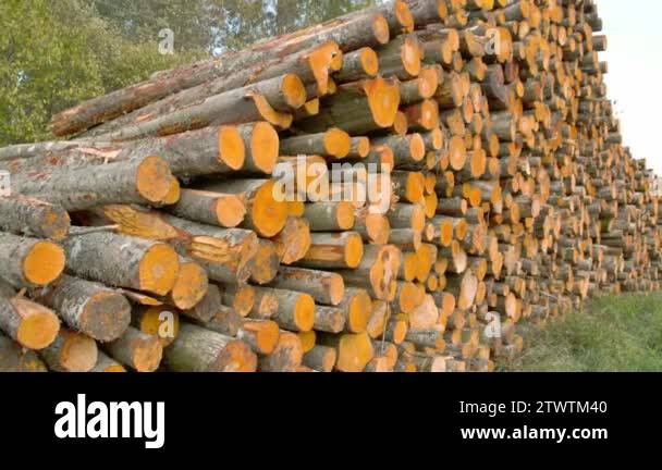 Cold tall format Stock Videos & Footage - HD and 4K Video Clips - Alamy