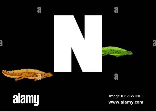 Cartoon letter n Stock Videos & Footage - HD and 4K Video Clips - Alamy
