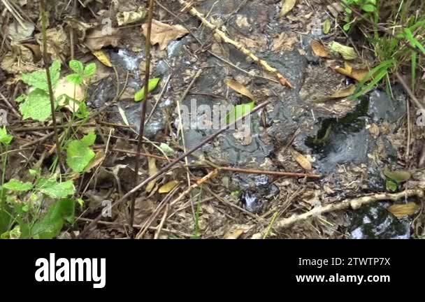 Former dump toxic waste, asphalt tar refined synthetic and detail ...