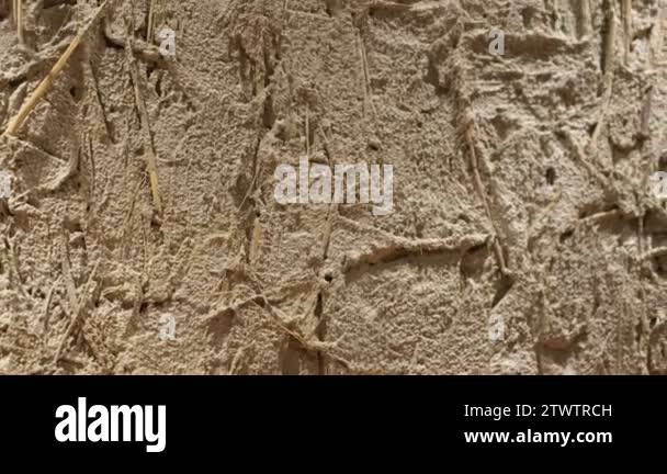 Living wall texture Stock Videos & Footage - HD and 4K Video Clips - Alamy