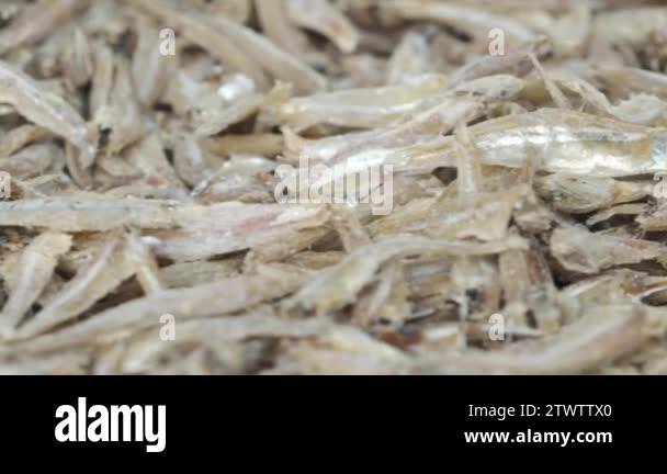 Anchovies dried fish Stock Videos & Footage - HD and 4K Video Clips - Alamy