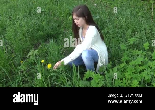 Girl picks a dandelion flower, sniffing on the meadow. spring day ...