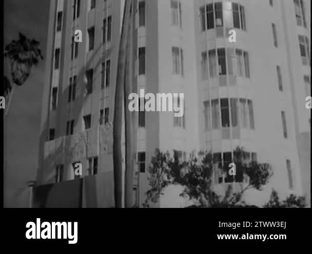 Palm tree los angeles black and white Stock Videos & Footage - HD and ...