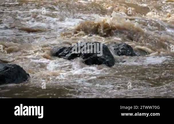 Overflowing river wild waters in slow motion. American Caribbean river ...