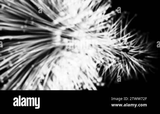 Abstract dark liquid looping animation of dark flow surface of ink ...