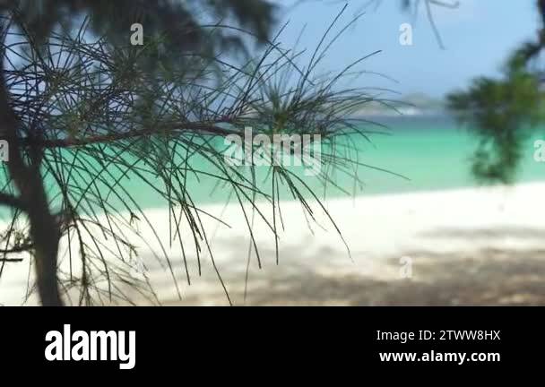 Paradise rest on beach Stock Videos & Footage - HD and 4K Video Clips ...
