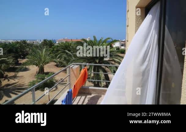 Overlooking palm trees Stock Videos & Footage - HD and 4K Video Clips ...