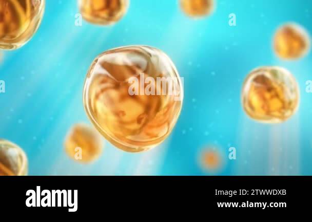 Cells with basic structural, functional and biological units of all ...