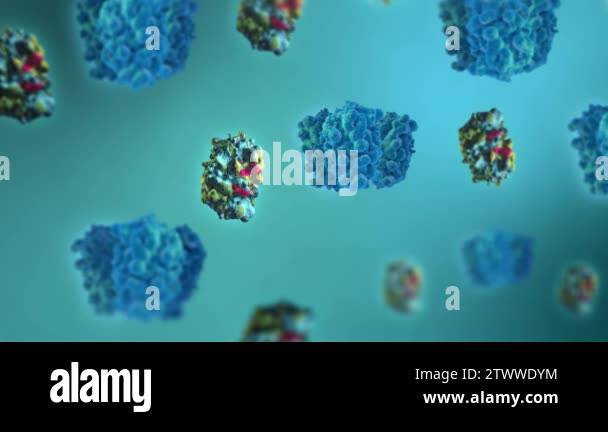 the cell is divided into four concept of mutation and evolution ...