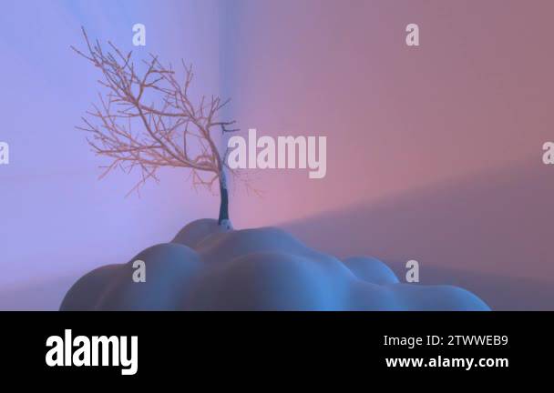 Sunrise study Stock Videos & Footage - HD and 4K Video Clips - Alamy