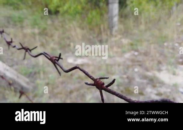 Barbed wire on an old fence. Restricted area Stock Video Footage - Alamy