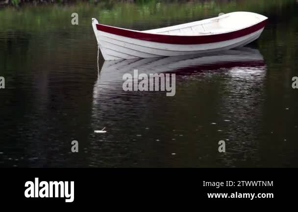 Leaf boat Stock Videos & Footage - HD and 4K Video Clips - Alamy