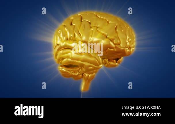 Gold Human Brain Rotation Stock Video Footage - Alamy