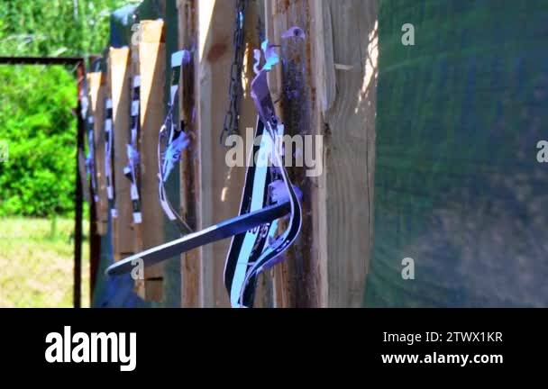 Throwing knives at the target from an open-air distance, a competition ...