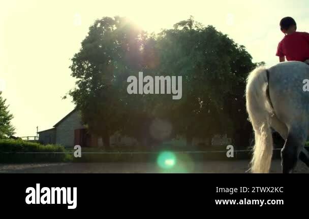 Boy riding white horse Stock Videos & Footage - HD and 4K Video Clips ...