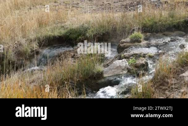 Water baths spa Stock Videos & Footage - HD and 4K Video Clips - Alamy