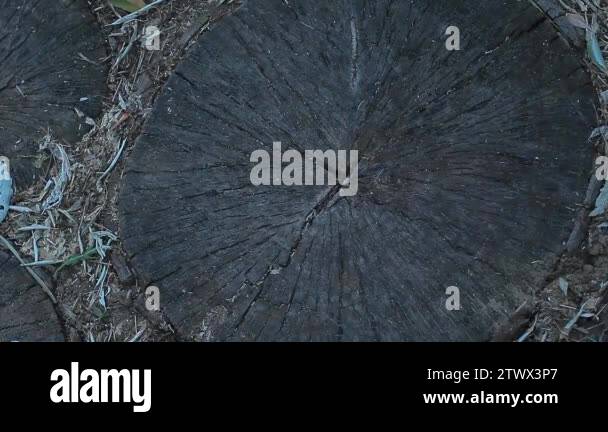 Stub background Stock Videos & Footage - HD and 4K Video Clips - Alamy