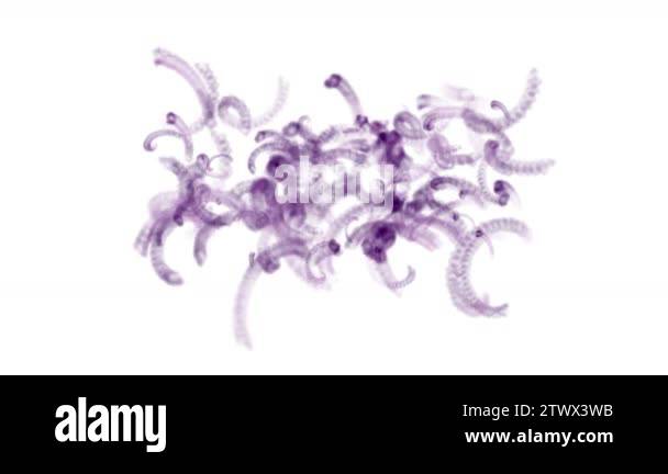 4k Abstract microbe microorganisms bacterial cellular fungal biological ...