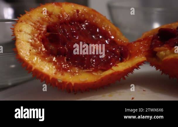 Gac fruit baby jackfruit Stock Videos & Footage - HD and 4K Video Clips ...