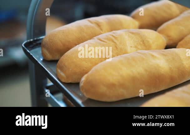 Loaf of bread on the production line in the bakery. Baked loaf of bread ...