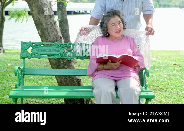 Chinese people reading book Stock Videos & Footage - HD and 4K Video ...