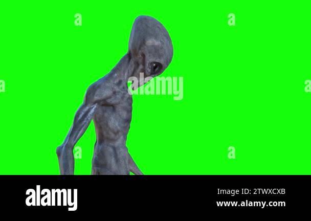 Gray et Stock Videos & Footage - HD and 4K Video Clips - Alamy