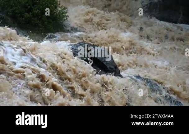 Overflowing river wild waters in slow motion. American Caribbean river ...