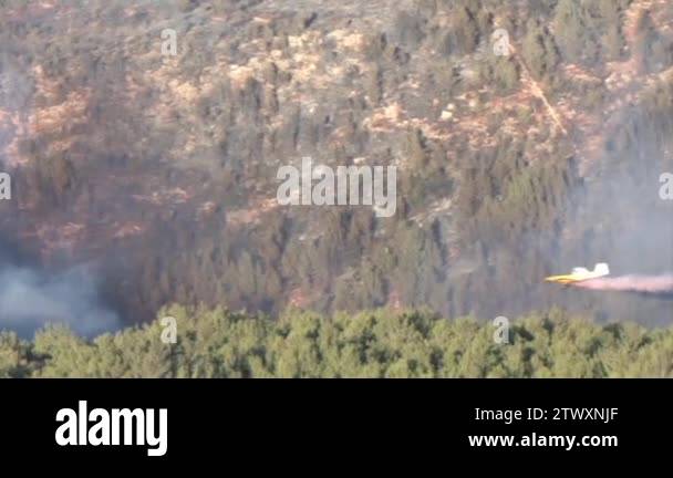 Fire fighting plane spraying fire extinguisher on burning forest, Mount ...