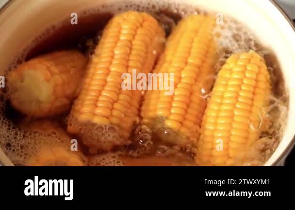 Cooking eating in boiling water Stock Videos & Footage - HD and 4K ...