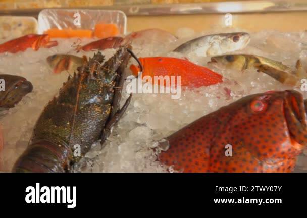 Types of crustaceans Stock Videos & Footage - HD and 4K Video Clips - Alamy