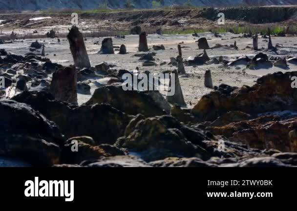 Cursed place Stock Videos & Footage - HD and 4K Video Clips - Alamy