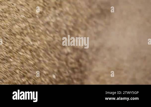 Farm factory process. Crushed grain mills in milling machine through ...