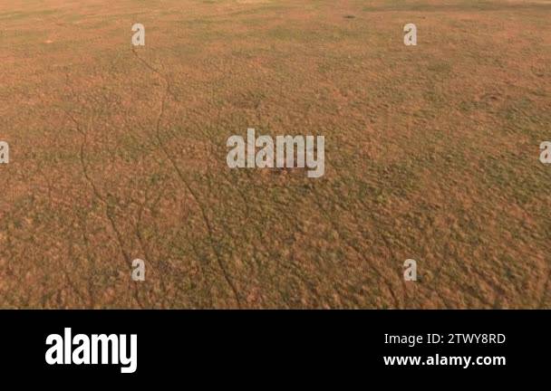 Short grass savanna Stock Videos & Footage - HD and 4K Video Clips - Alamy