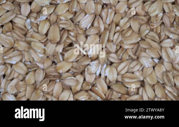 Dry oat flakes grains background, close up rotation loopable 4k top ...