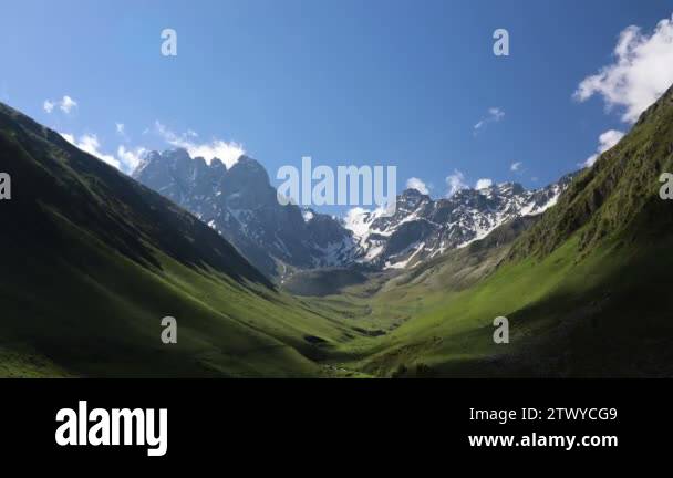 U shaped tree Stock Videos & Footage - HD and 4K Video Clips - Alamy