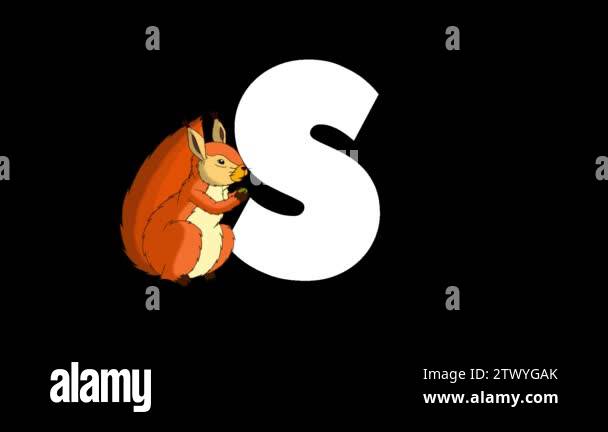 Animated zoological English alphabet. Alpha matte motion graphic ...