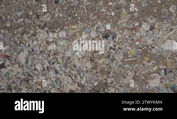 Animal dump Stock Videos & Footage - HD and 4K Video Clips - Alamy