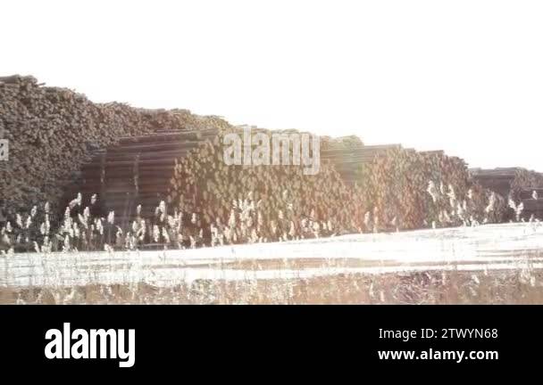 Tall stacks Stock Videos & Footage - HD and 4K Video Clips - Alamy