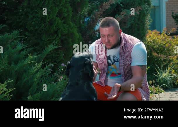 Squatting with his dog Stock Videos & Footage - HD and 4K Video Clips ...