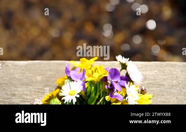 Spring mix flowers bouquet Stock Videos & Footage - HD and 4K Video ...