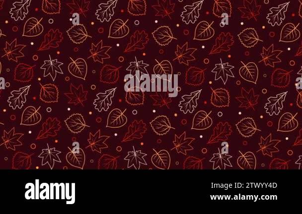 Leaf outline pattern Stock Videos & Footage - HD and 4K Video Clips - Alamy